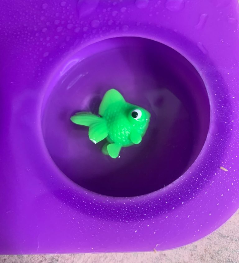 Goldfish Melt and Pour Soap - Summer Rain