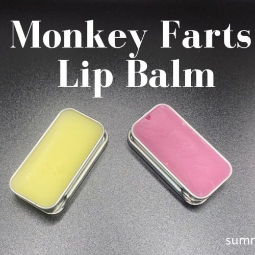 Monkey Farts Lip Balm - Summer Rain